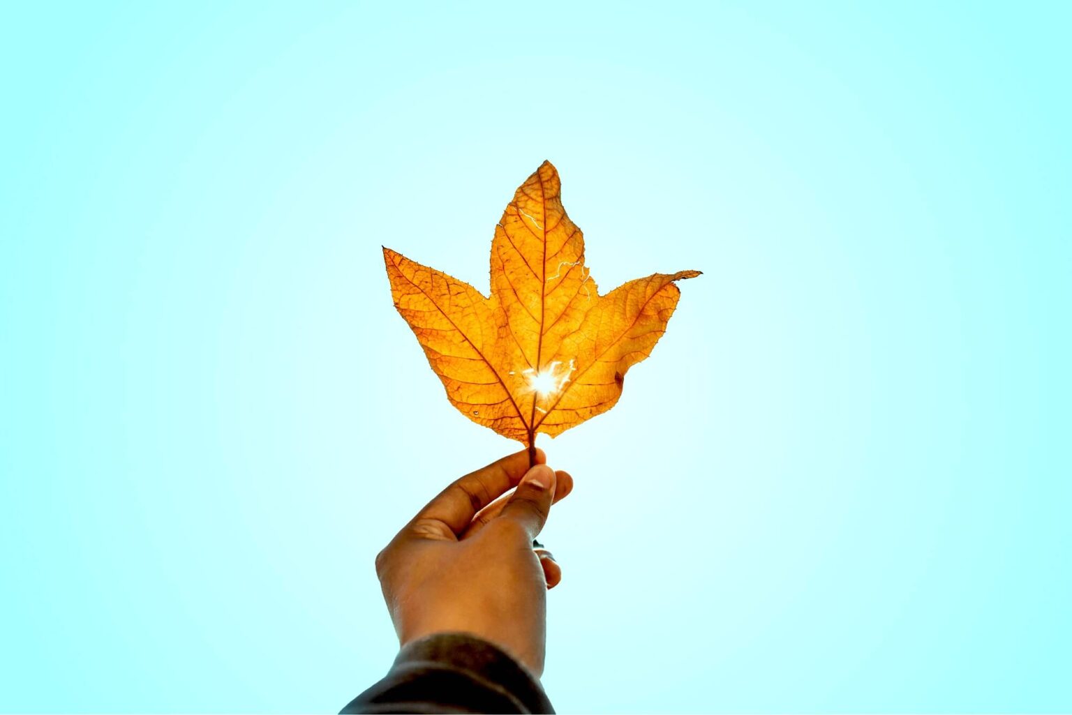 5 Meaningful Thanksgiving Messages to Employees